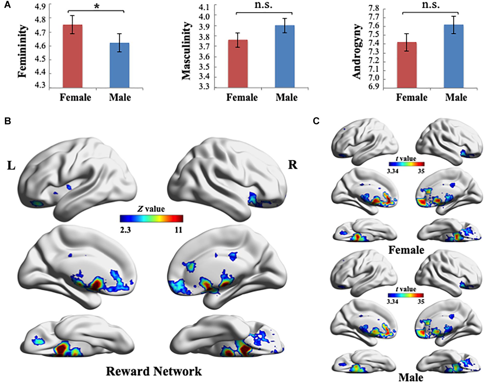 Frontiers Sex Specific Functional Connectivity In The Reward Network