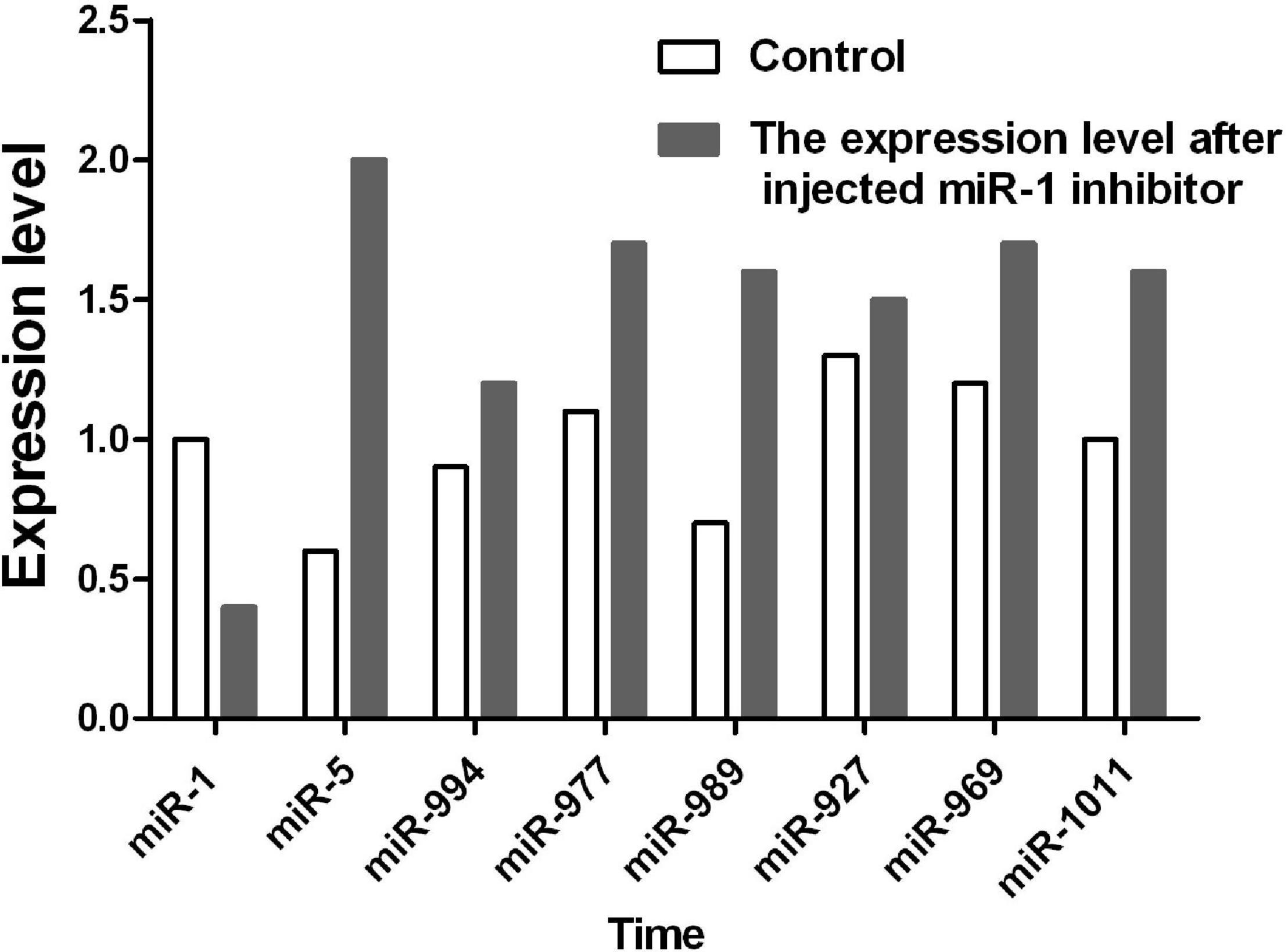 Frontiers Microrna 1 Expression And Function In Hyalomma Anatolicum