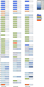 Frontiers | Lactobacillus-Depleted Vaginal Microbiota in Pregnant Women ...