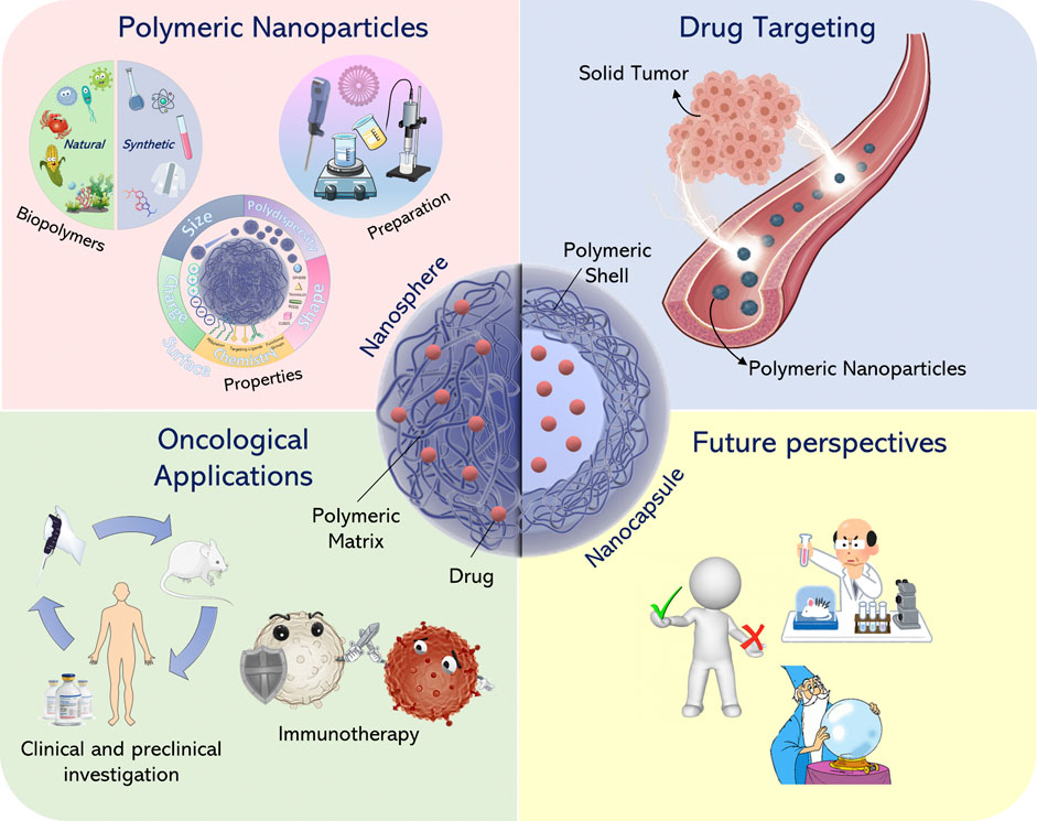 Frontiers Biodegradable Polymeric Nanoparticles For Drug Delivery To