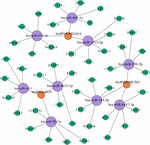 Frontiers | Aberrant Expression of Long Non-coding RNAs in Exosomes in ...