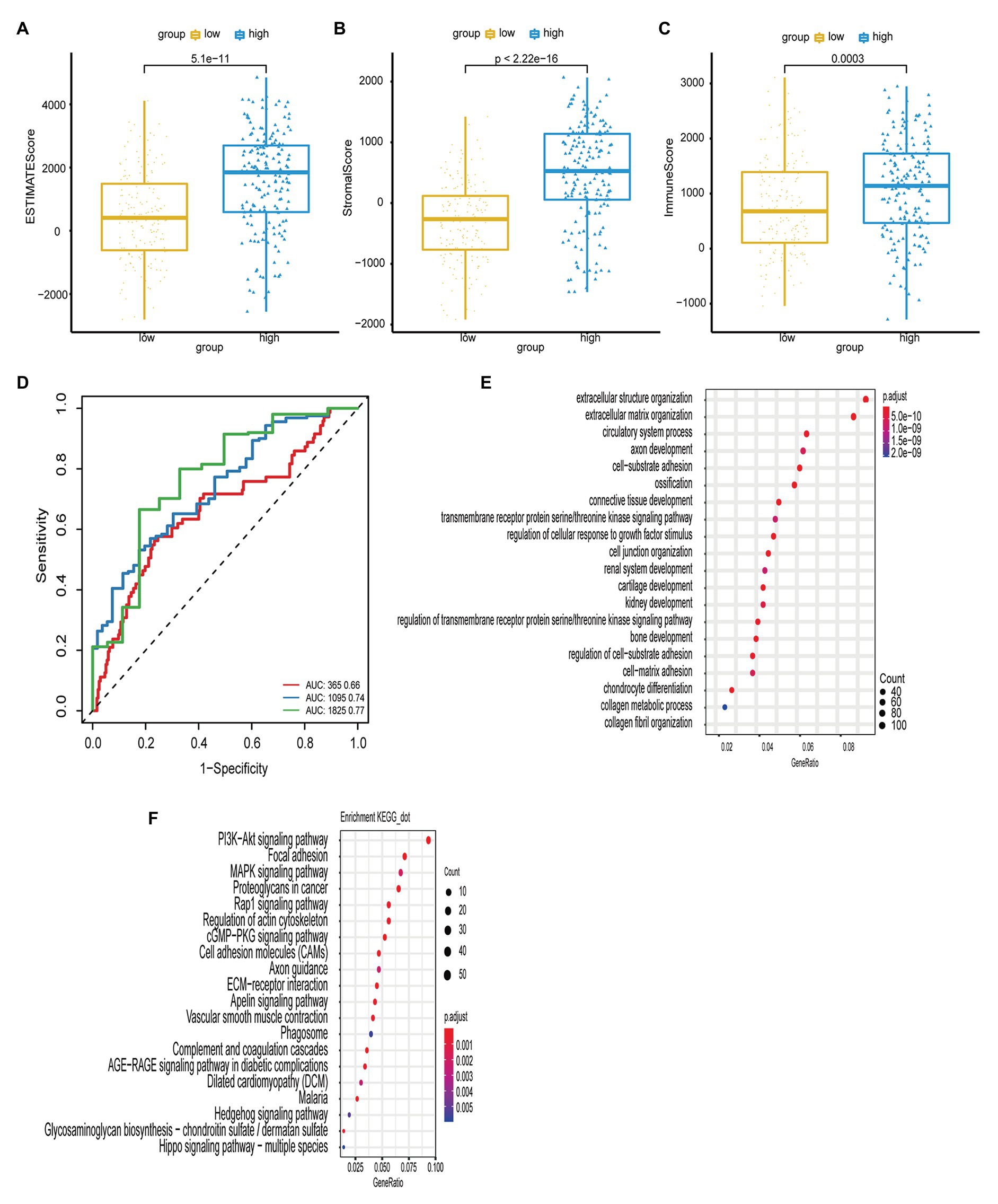 Frontiers A Novel Six Gene Based Prognostic Model Predicts Survival