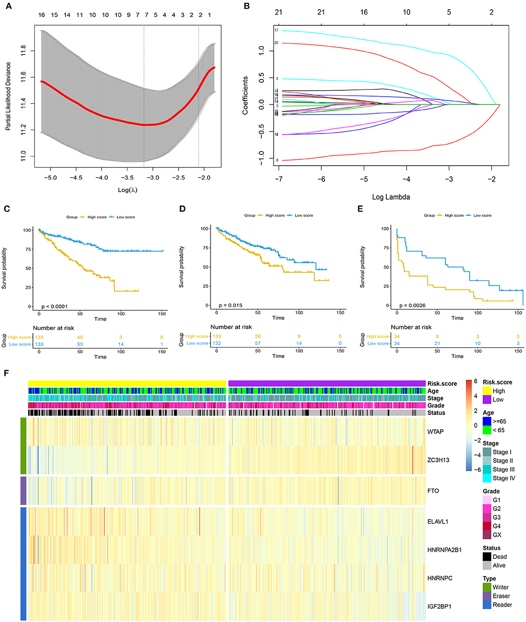 Frontiers A Novel M6a Gene Signature Associated With Regulatory