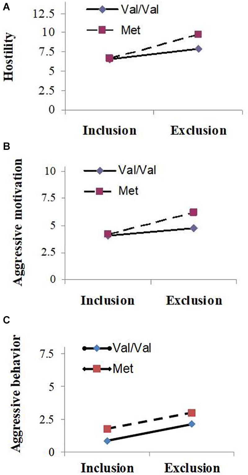Frontiers Catechol O Methyltransferase Gene Val158met Polymorphism