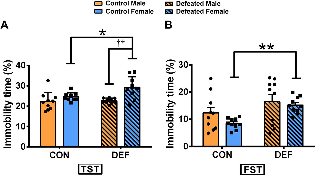 Frontiers Sex Dependent Effects Of Chronic Social Defeat On Emotional