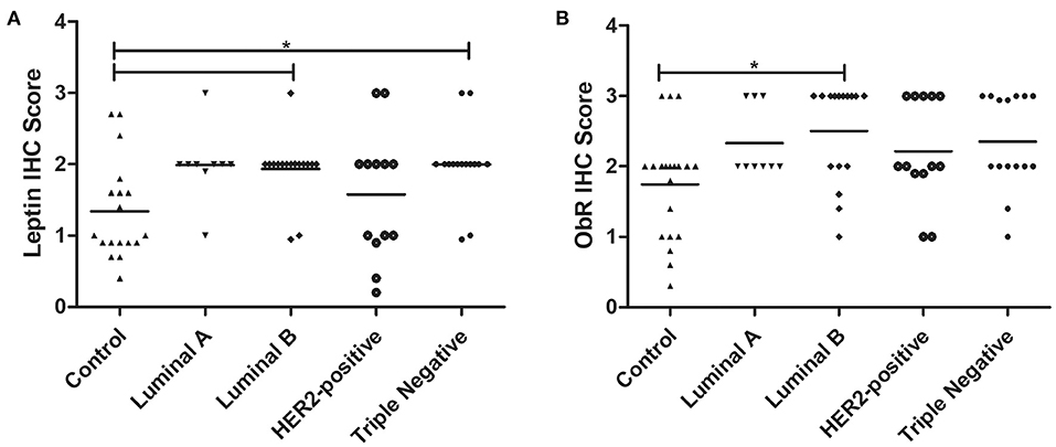 Frontiers Serum And Tissue Expression Levels Of Leptin And Leptin