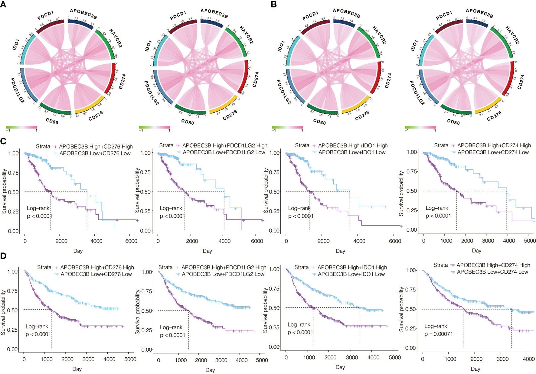 Frontiers Correlation Between Apobec3b Expression And Clinical
