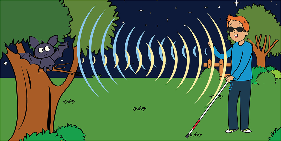 The Robat—A Robot That Senses the World and Maps It Using Sound, Like a ...