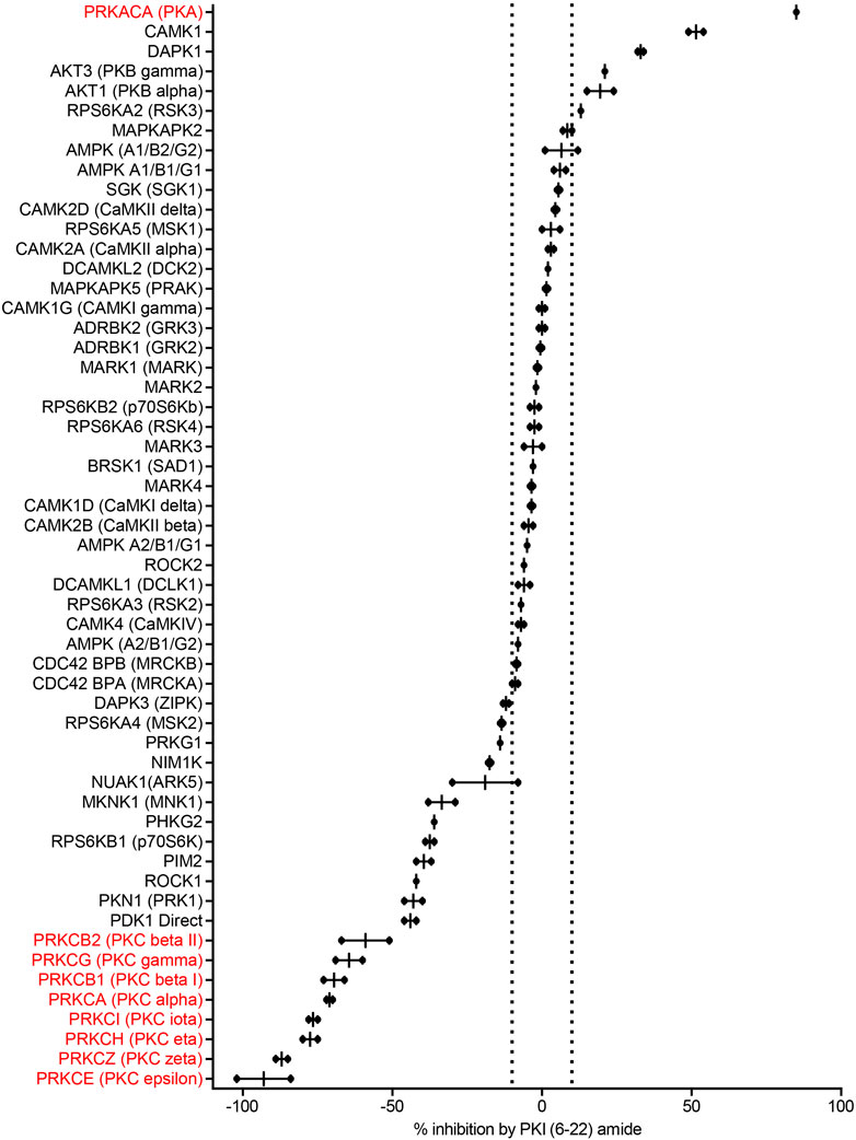 Frontiers The Kinase Specificity Of Protein Kinase Inhibitor Peptide