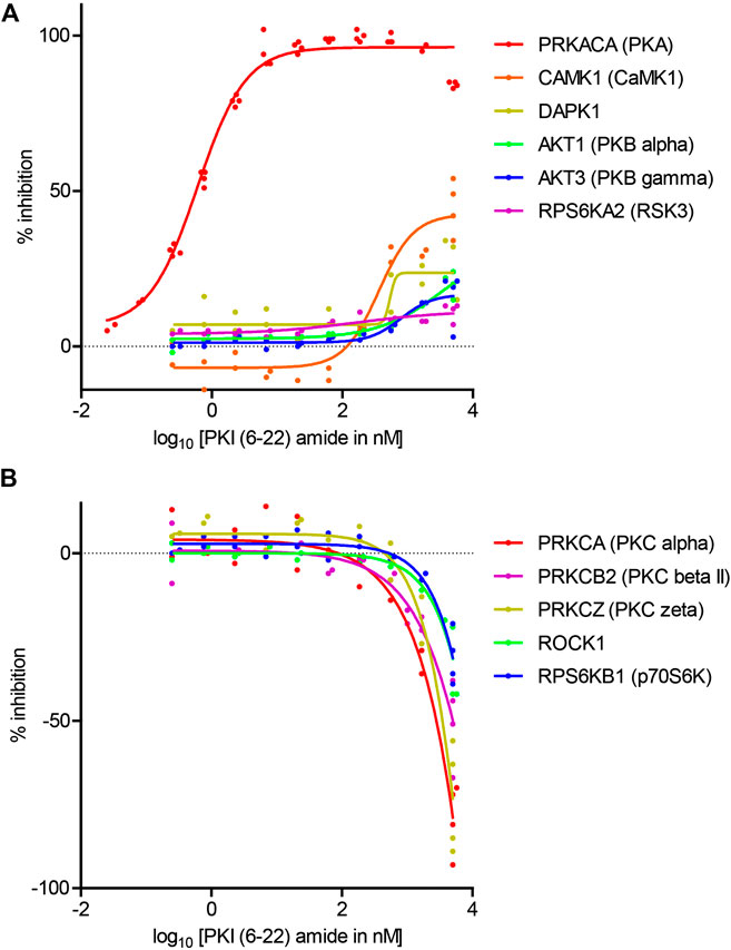 Frontiers The Kinase Specificity Of Protein Kinase Inhibitor Peptide