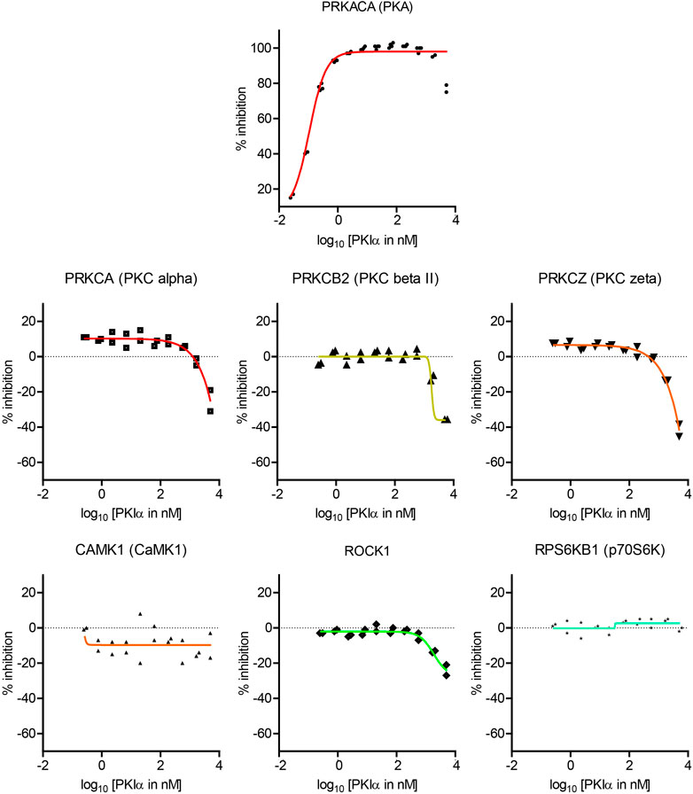 Frontiers The Kinase Specificity Of Protein Kinase Inhibitor Peptide