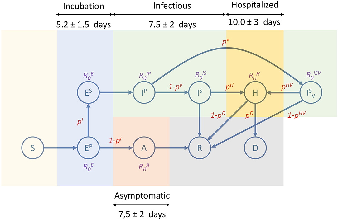 Frontiers | Simulation of COVID-19 Propagation Scenarios in the Madrid ...