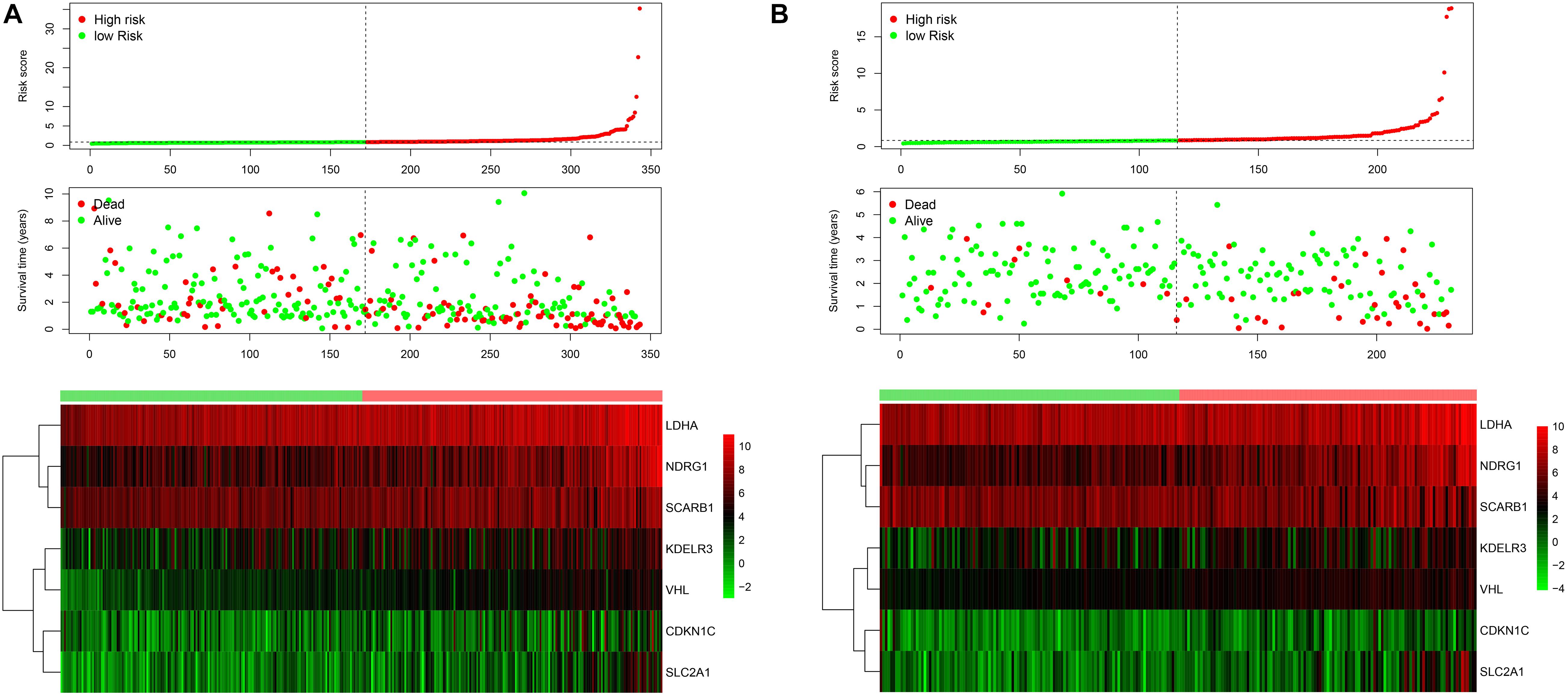 Frontiers Identification Of Seven Gene Hypoxia Signature For