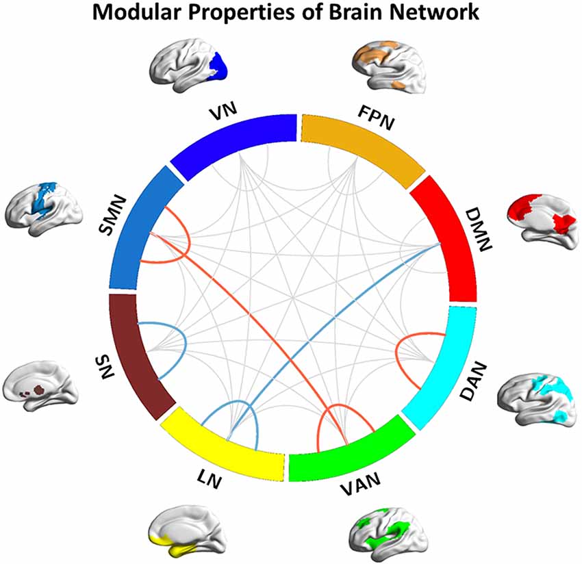 Frontiers Sex Difference In Network Topology And Education Correlated