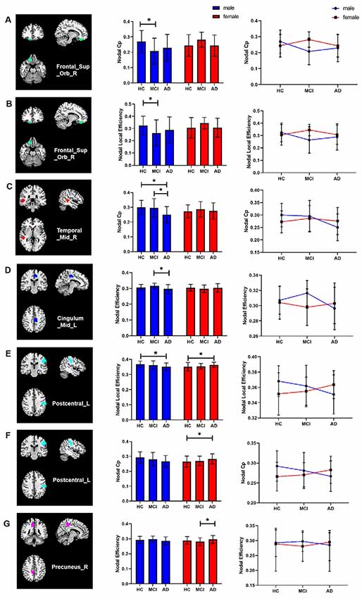 Frontiers Sex Difference In Network Topology And Education Correlated