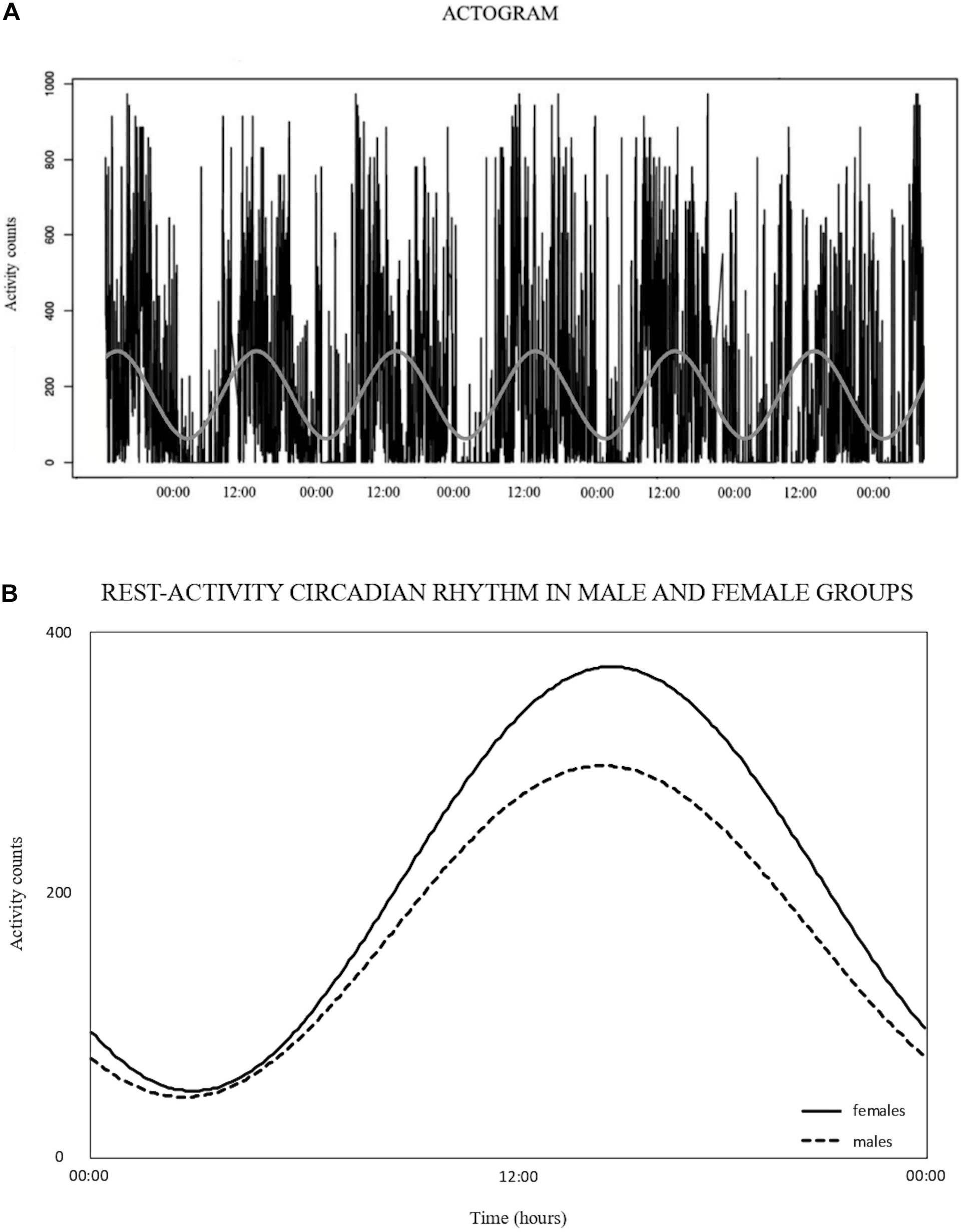 Frontiers Sex Differences In Rest Activity Circadian Rhythm In