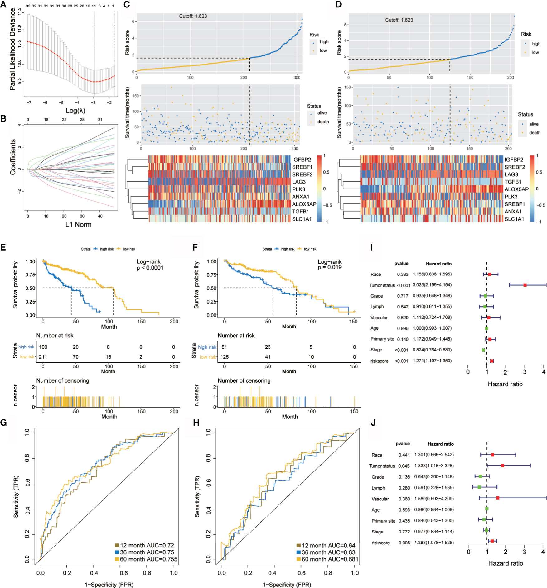 Frontiers Multi Omics Profiling Identifies Risk Hypoxia Related