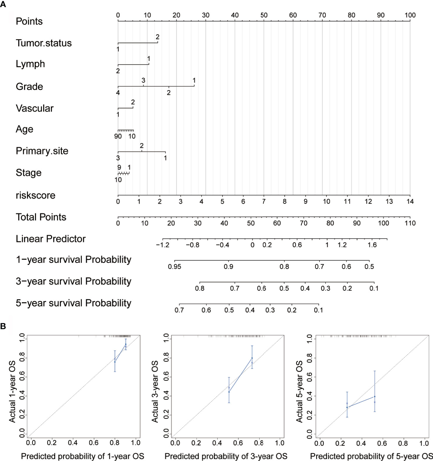 Frontiers Multi Omics Profiling Identifies Risk Hypoxia Related