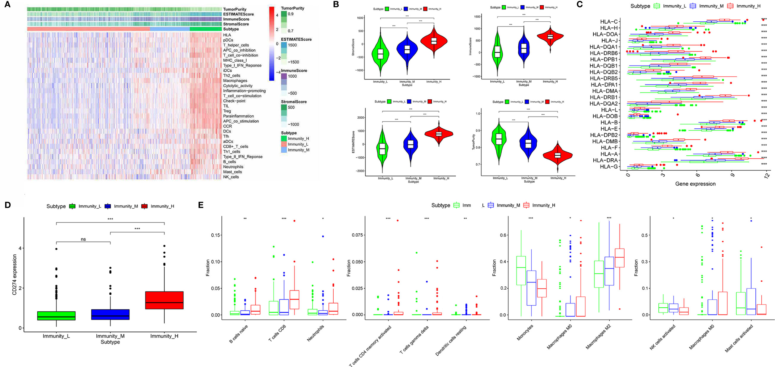 Frontiers Identification And Validation Of A Prognostic Immune