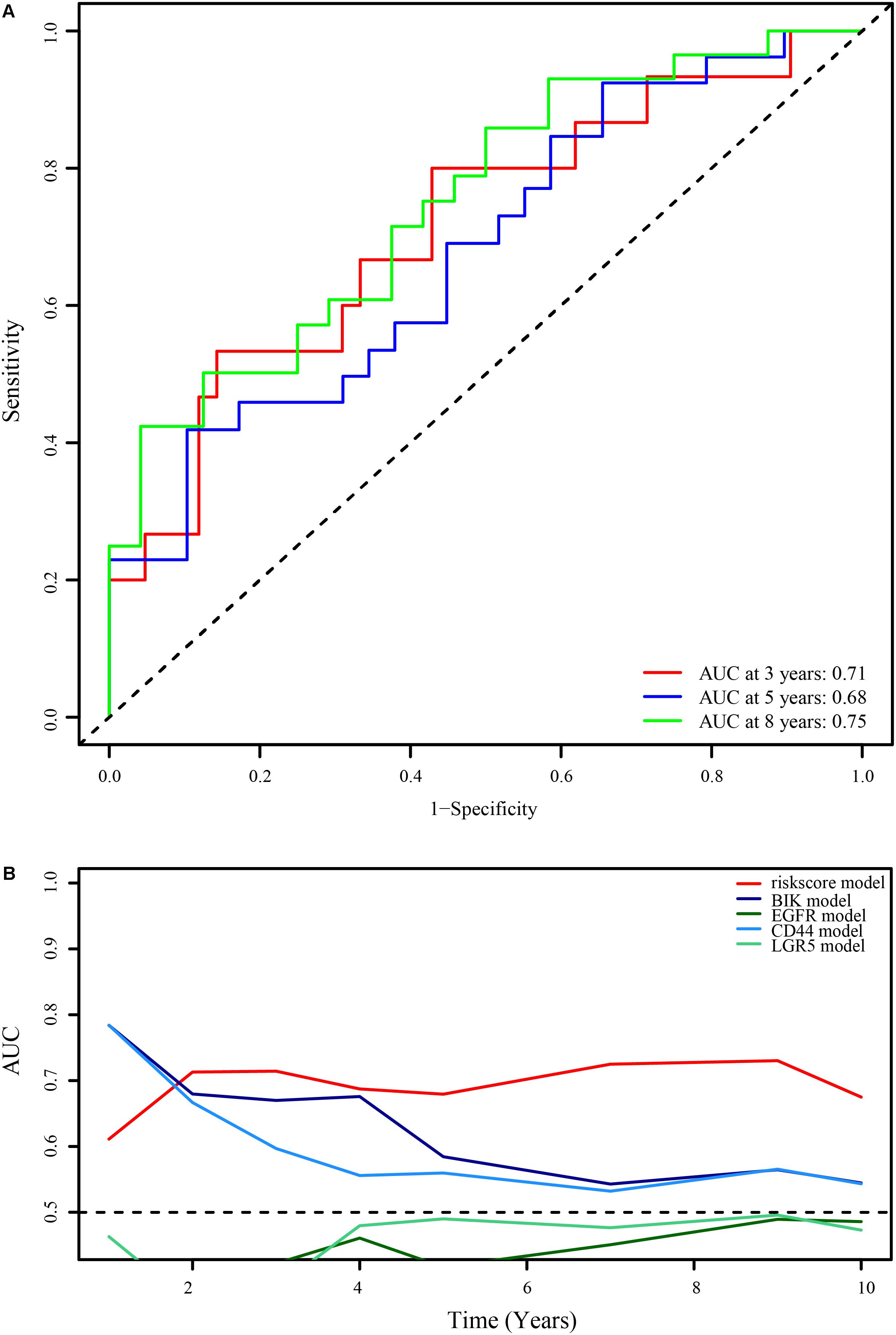 Frontiers An Immune Related Long Non Coding Rna Signature To Predict