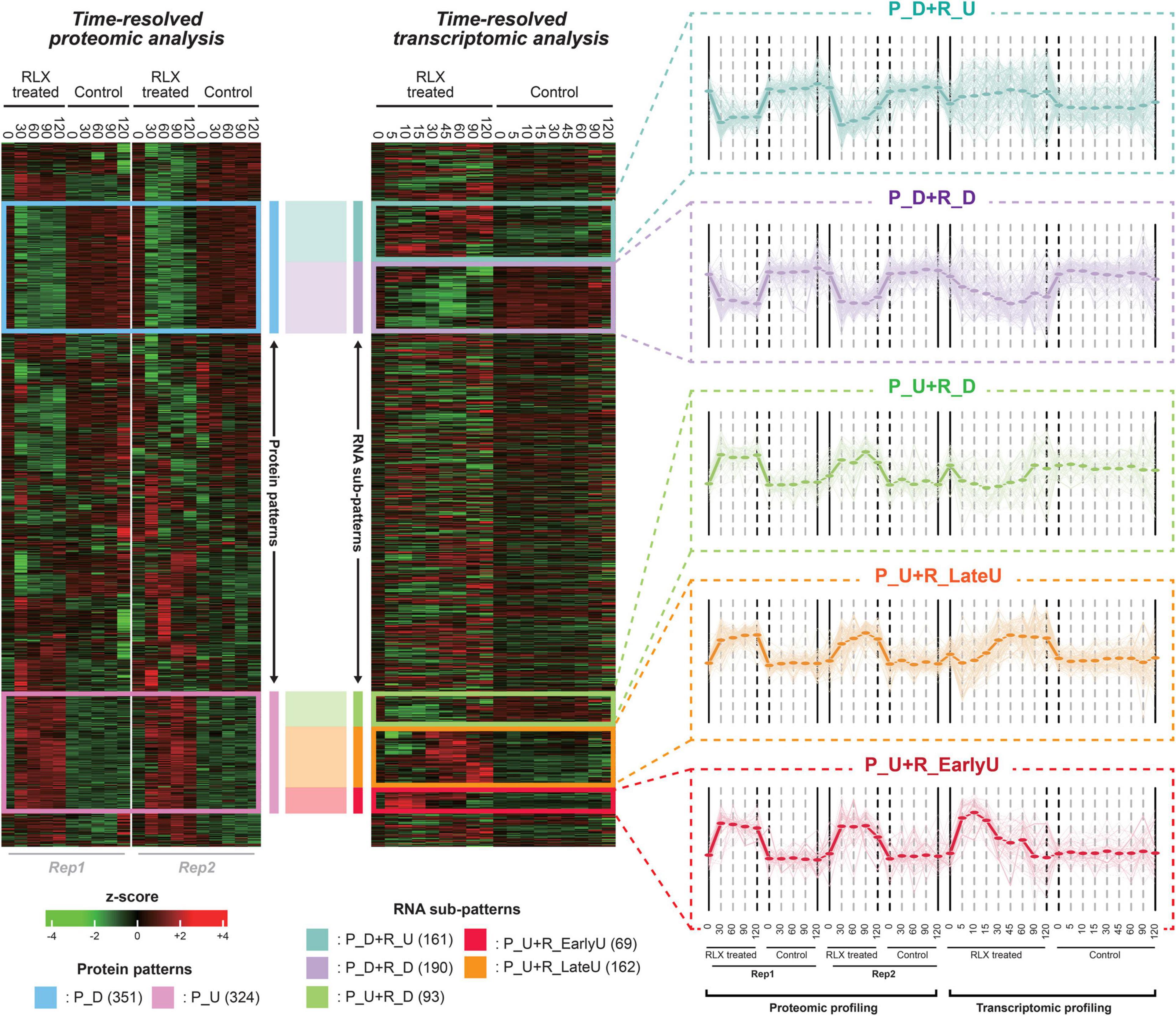 Frontiers Combined Analysis Of The Time Resolved Transcriptome And