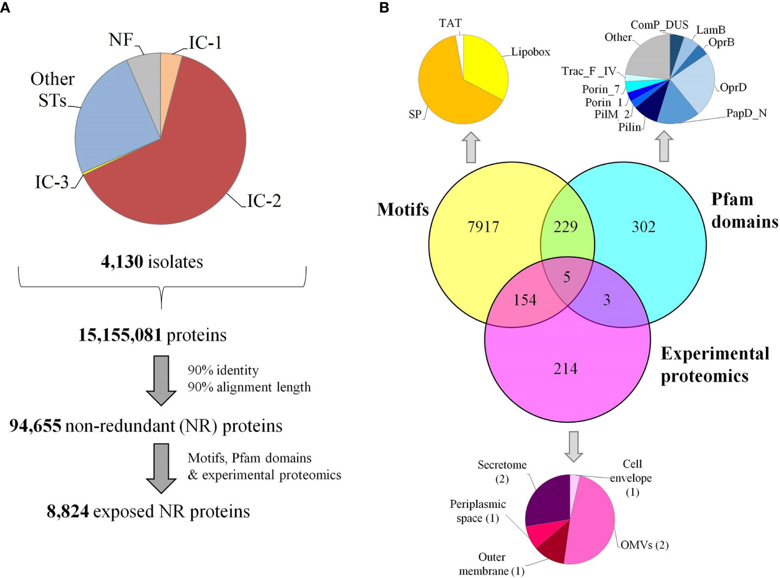 Frontiers | Designing Multi-Antigen Vaccines Against Acinetobacter ... Frontiers | Designing Multi-Antigen Vaccines Against Acinetobacter ...