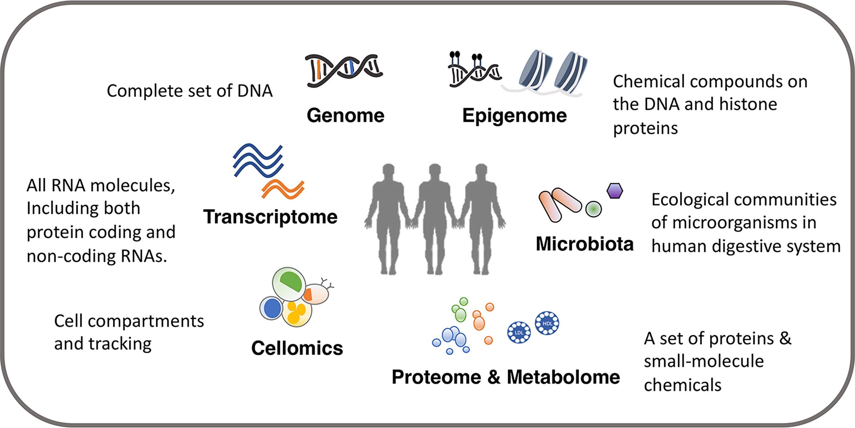 Frontiers Multi Omics Approaches In Immunological Research