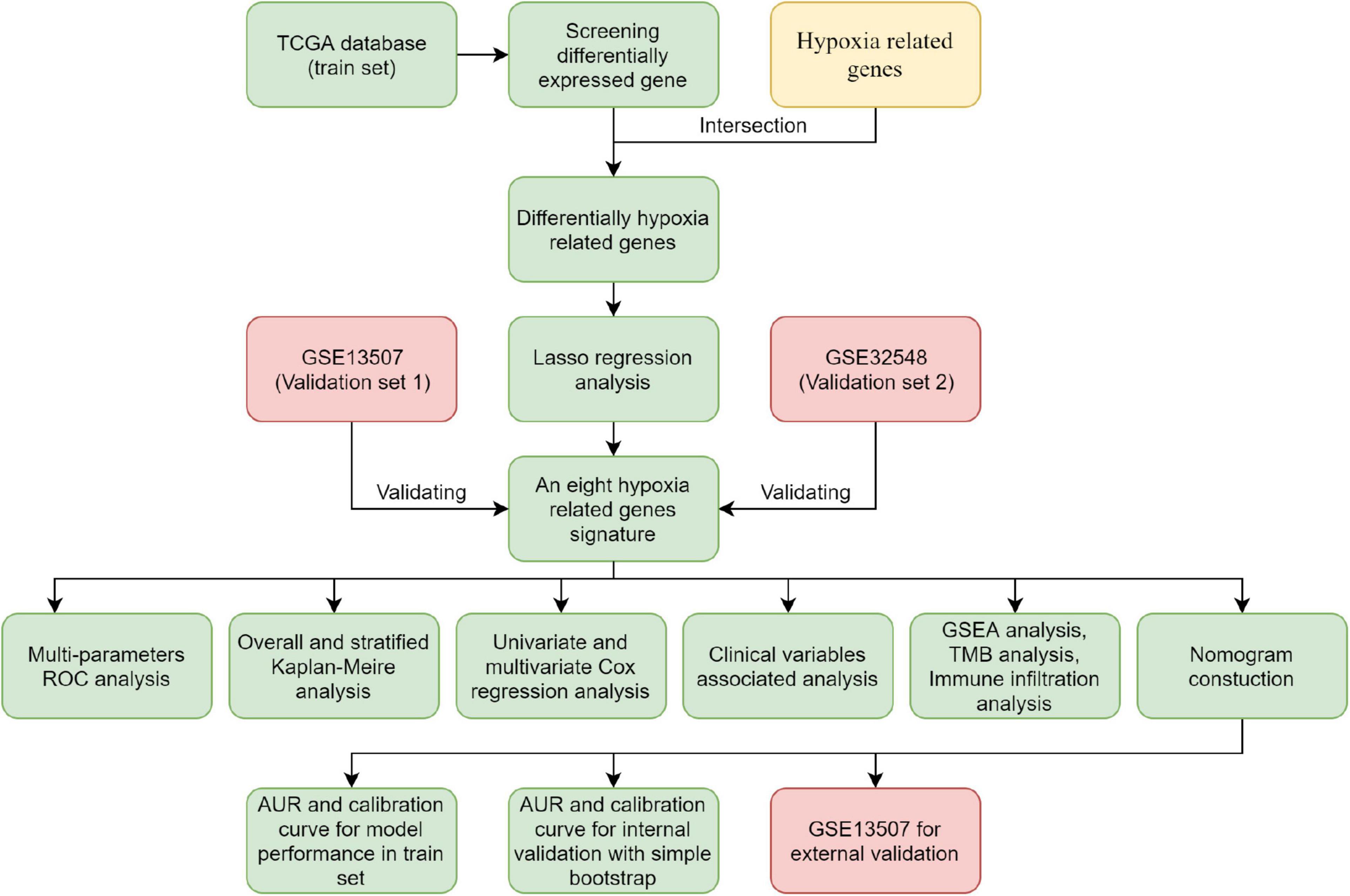 Frontiers Development And Validation Of A Hypoxia Related Signature