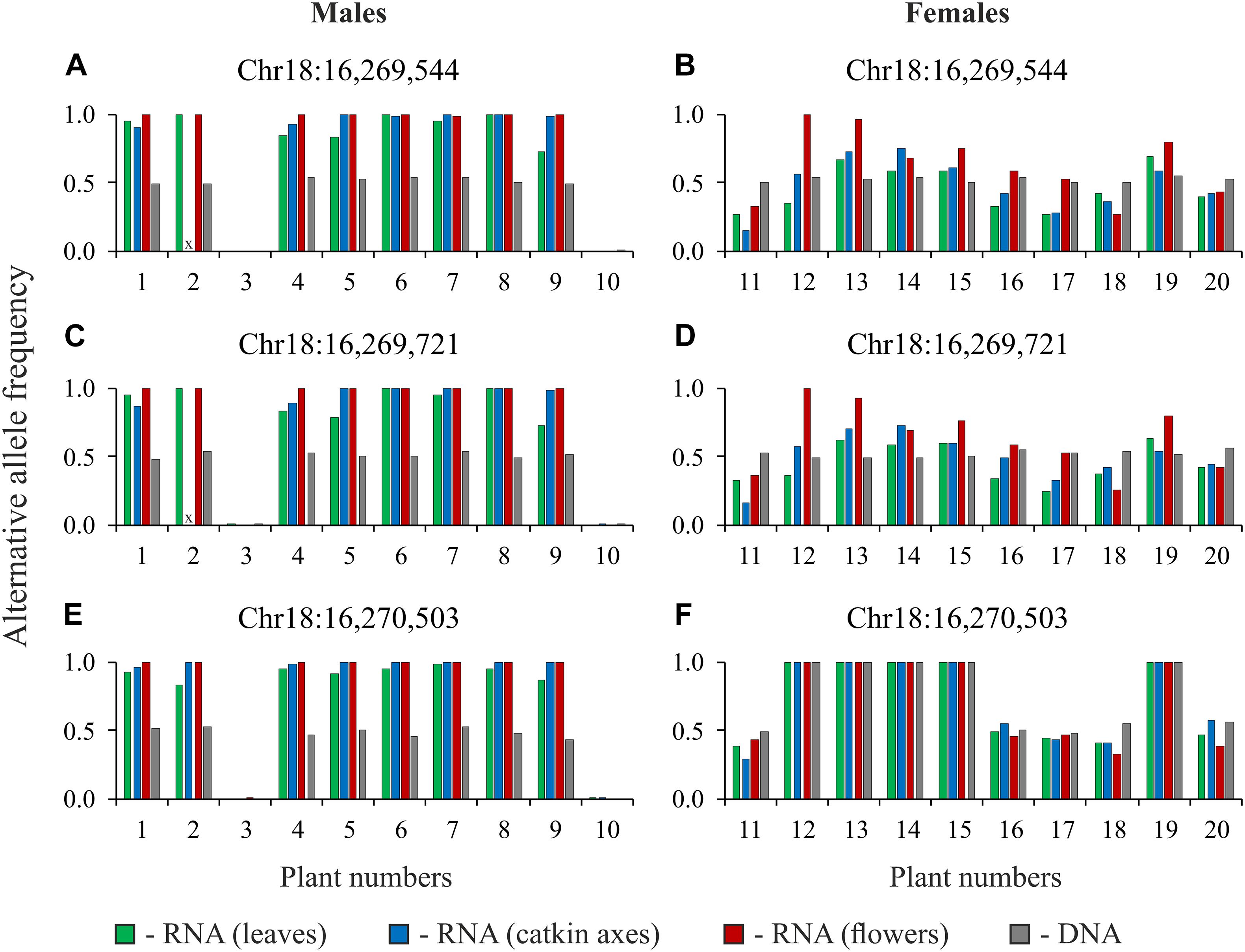 Frontiers Genome And Transcriptome Sequencing Of Populus × Sibirica