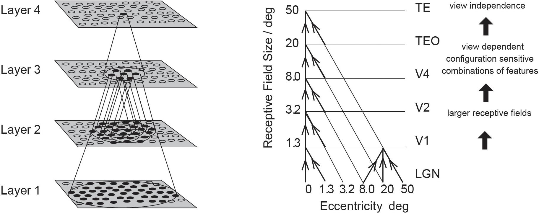 Symmetry Representations And Invariant