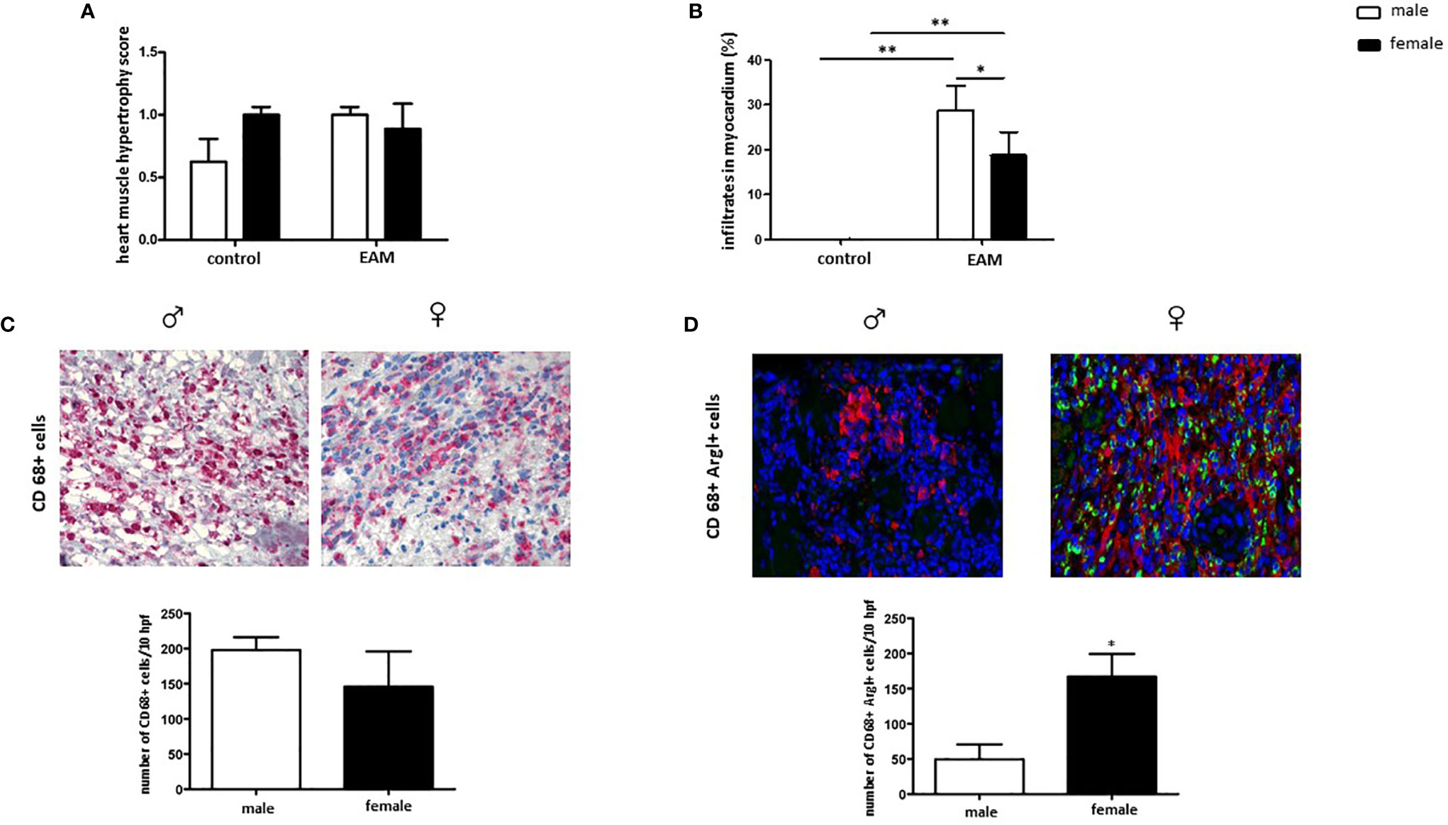 Frontiers Sex Specific Differences Of The Inflammatory State In Free