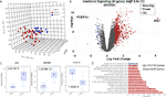 Frontiers | High-Density Blood Transcriptomics Reveals Precision Immune ...