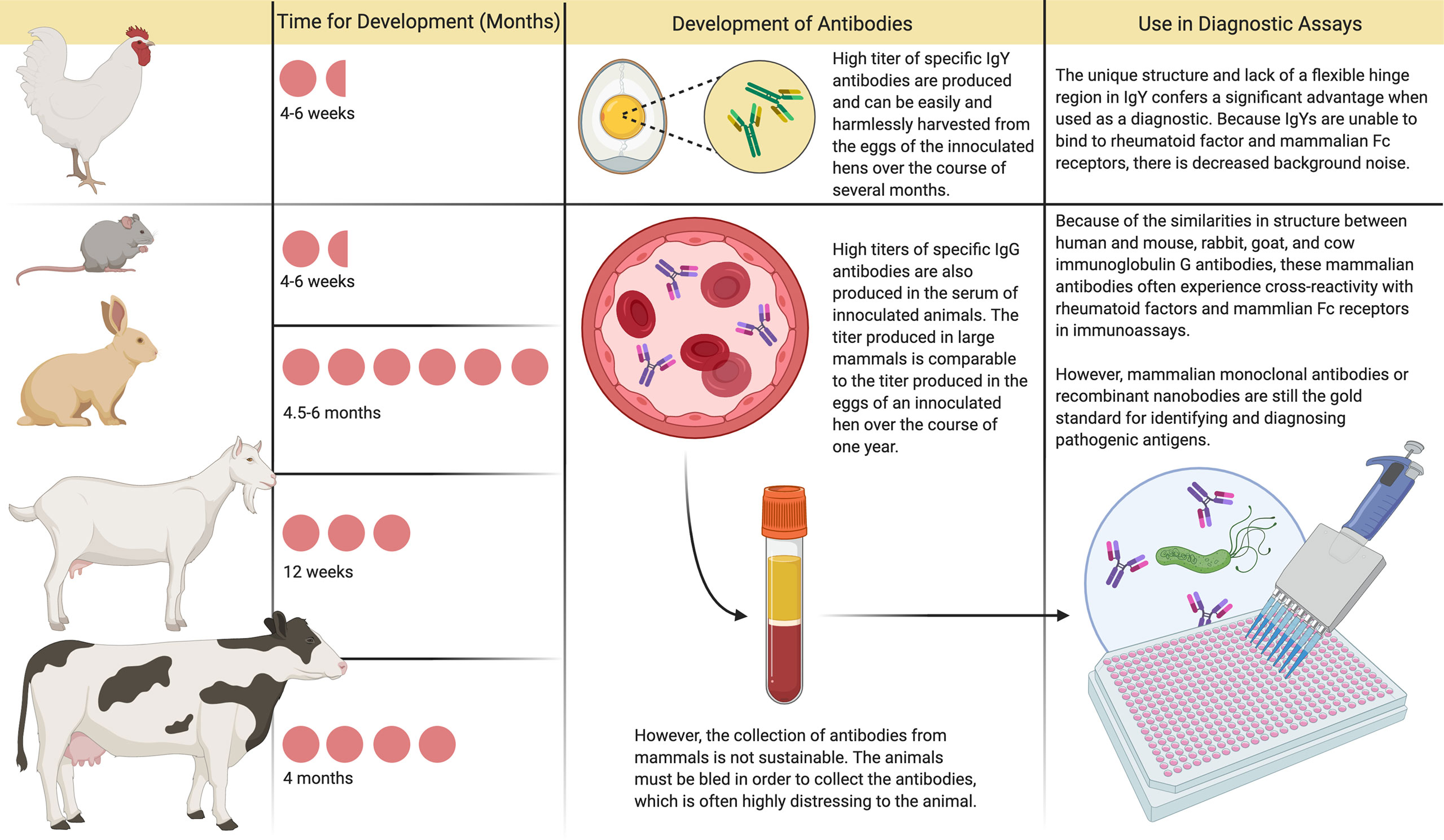 Frontiers Immunoglobulin Y For Potential Diagnostic And, 42% OFF Frontiers Immunoglobulin Y For Potential Diagnostic And, 42% OFF