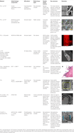 Frontiers | Regenerative Medicine Technologies to Treat Dental, Oral ...