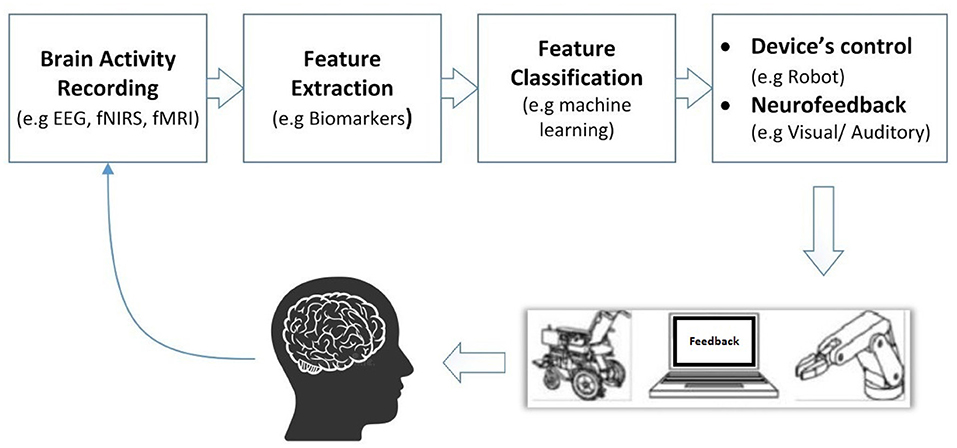 The Flowchart Of A Typical Eeg Based Bci Download Sci - vrogue.co The Flowchart Of A Typical Eeg Based Bci Download Sci - vrogue.co