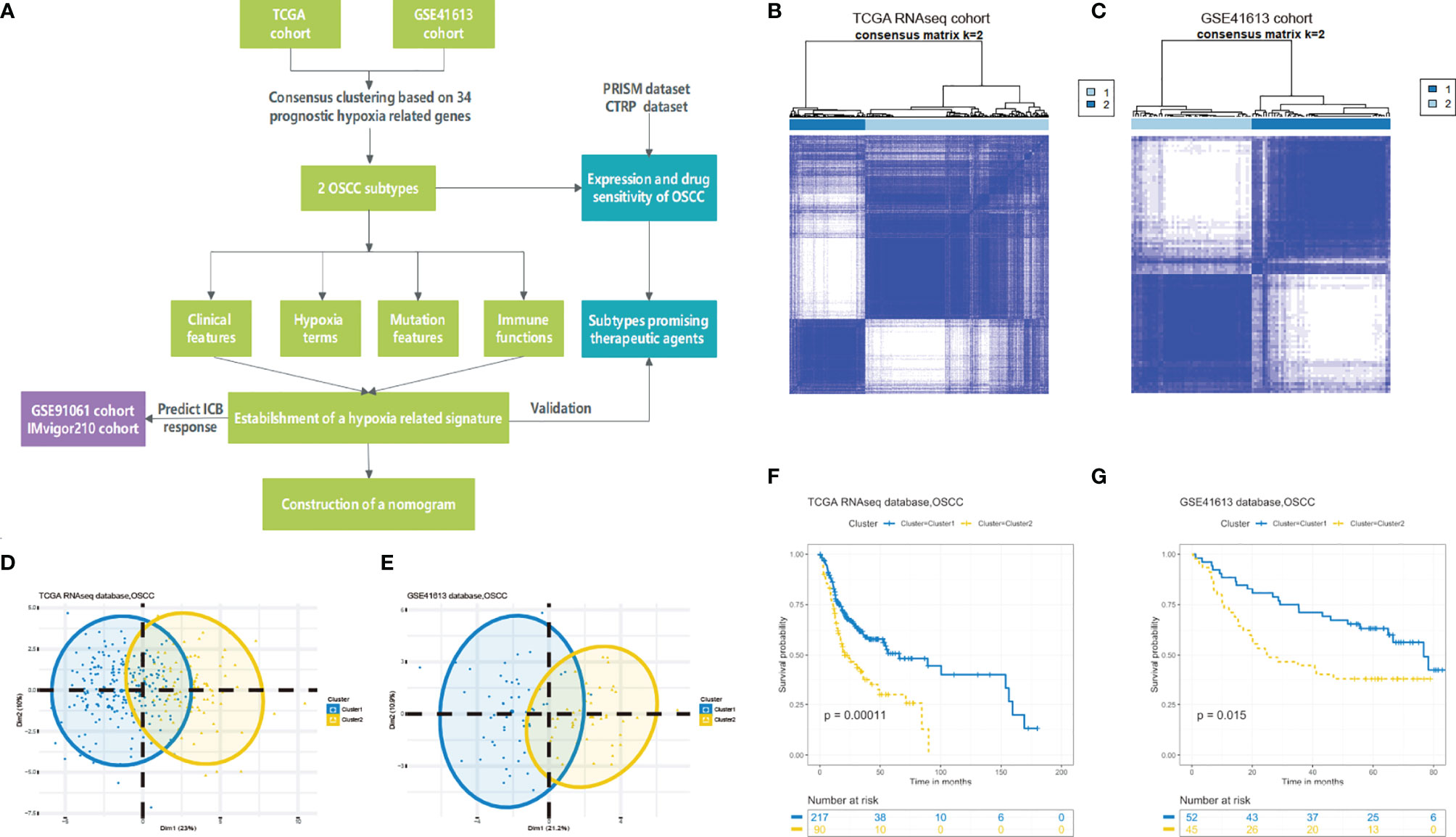 Frontiers Identification Of Hypoxia Related Molecular Classification