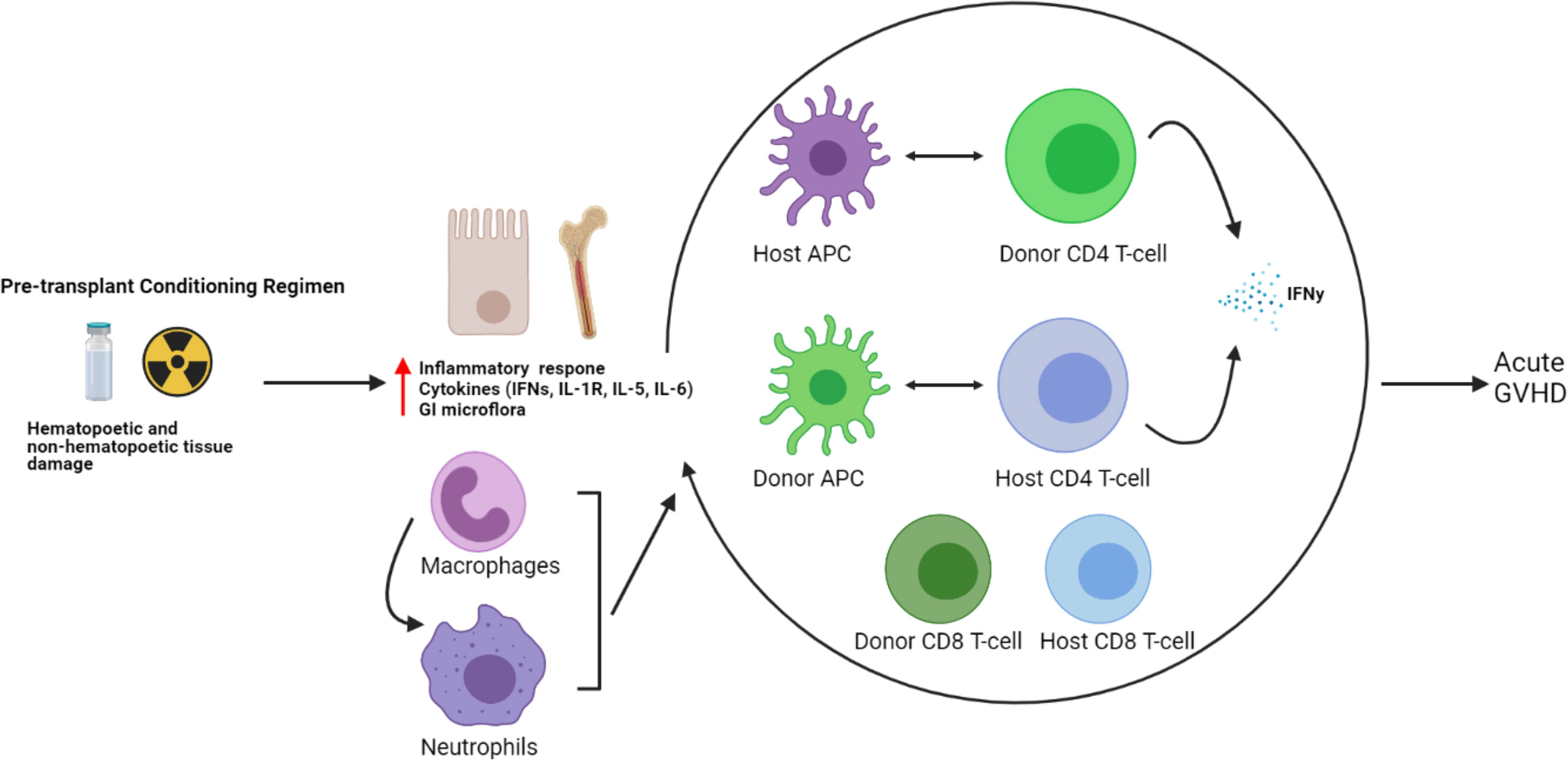 Frontiers Targeting The Cd27 Cd70 Pathway To Improve Outcomes In Both