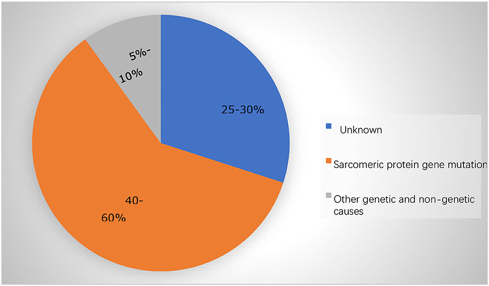Frontiers Hypertrophic Cardiomyopathy From Phenotype And