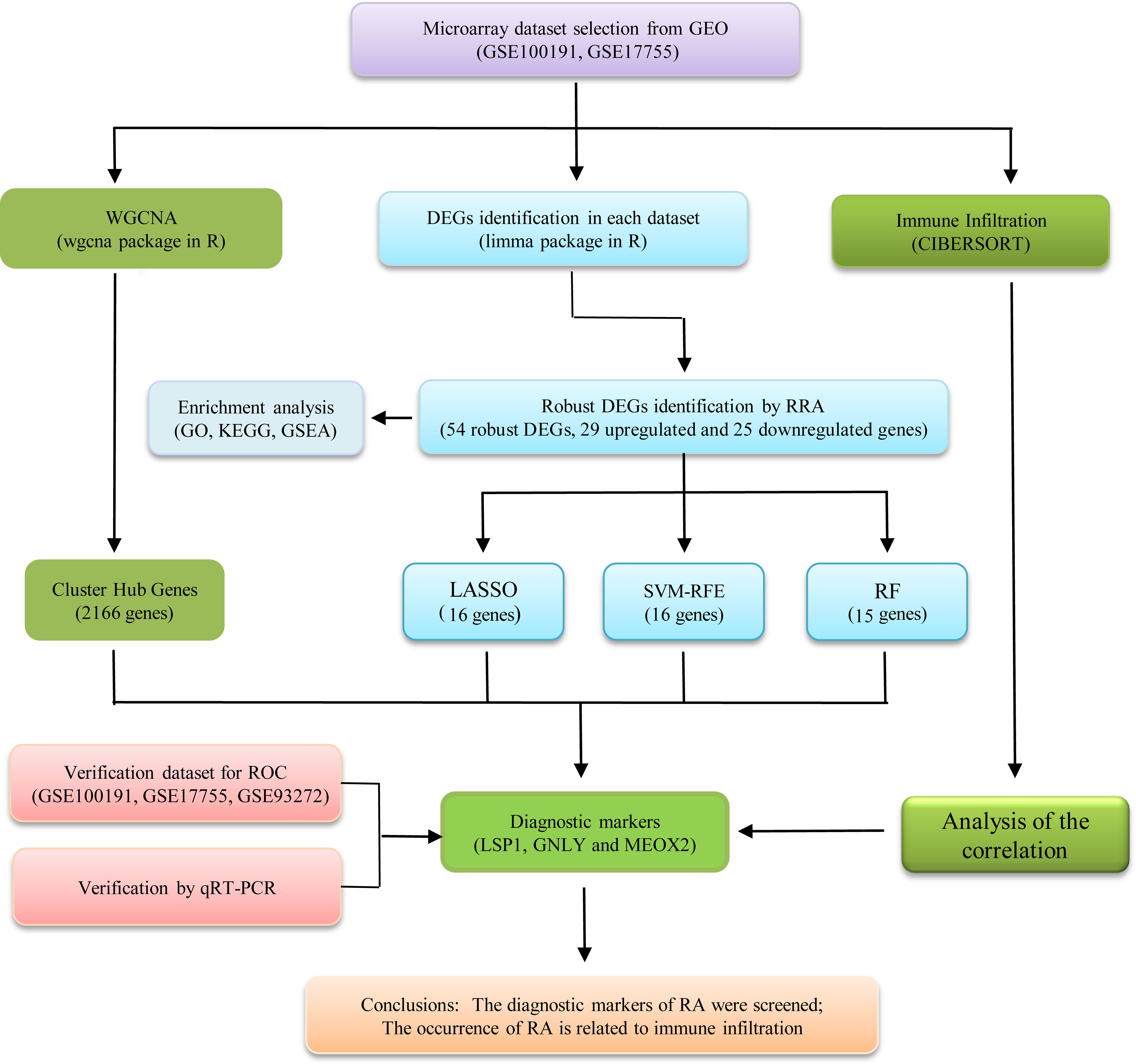 Frontiers Identification Of Diagnostic Signatures And Immune Cell