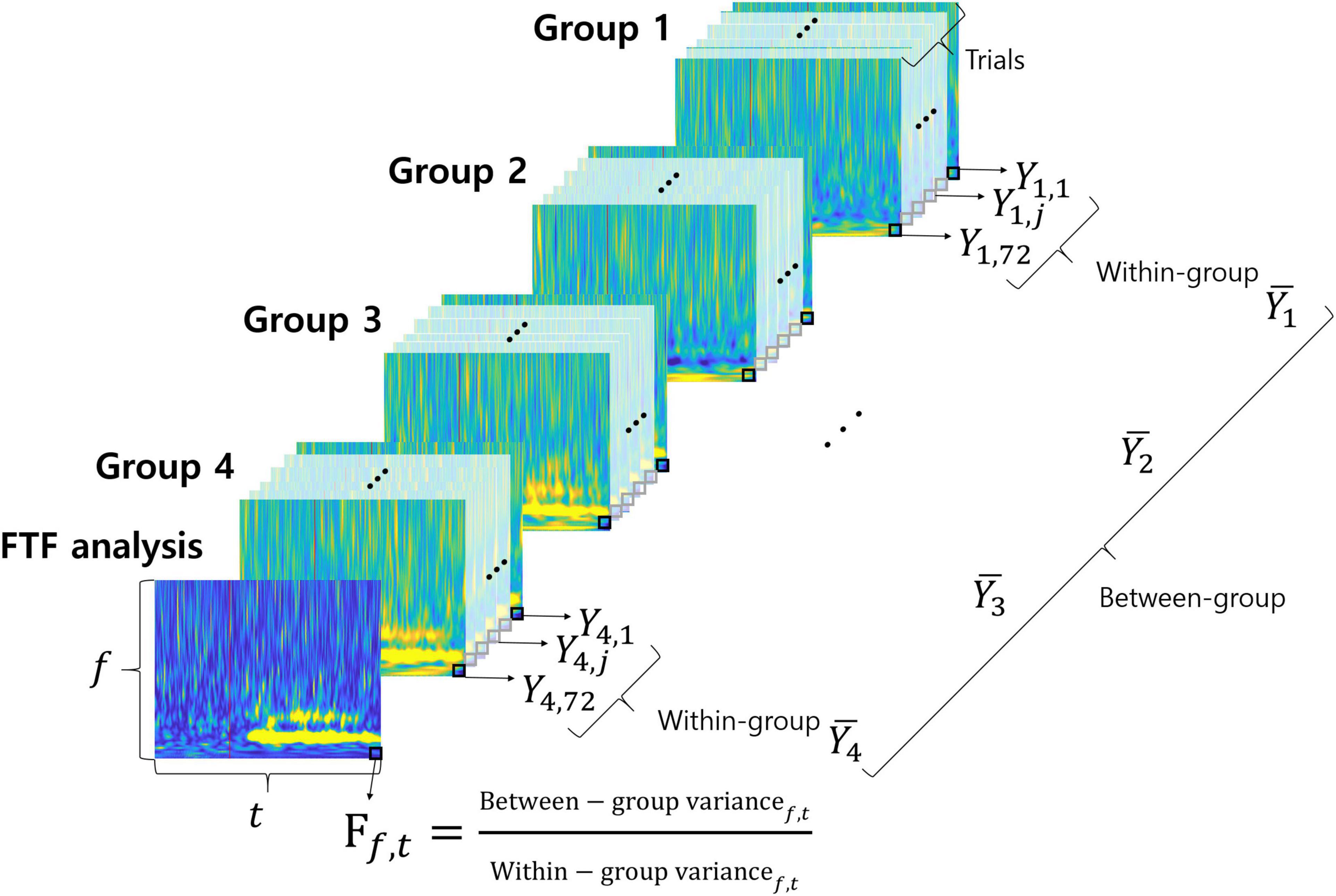 Frontiers F Value Time Frequency Analysis Between Within Variance 