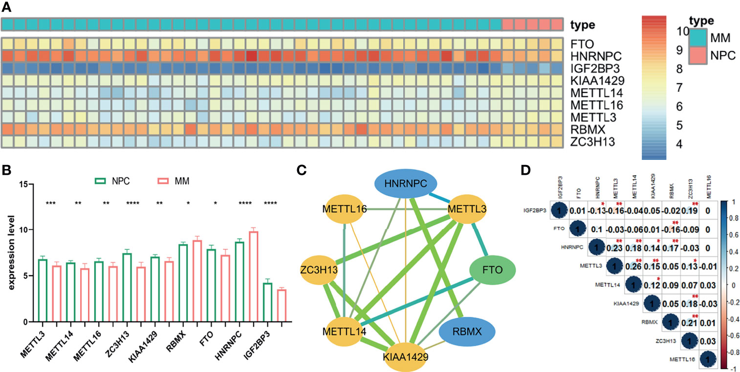 Frontiers Comprehensive Analysis Of M6a Rna Methylation Regulators In