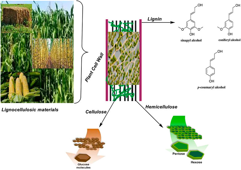 Frontiers Underutilized Lignocellulosic Waste As Sources Of Feedstock 