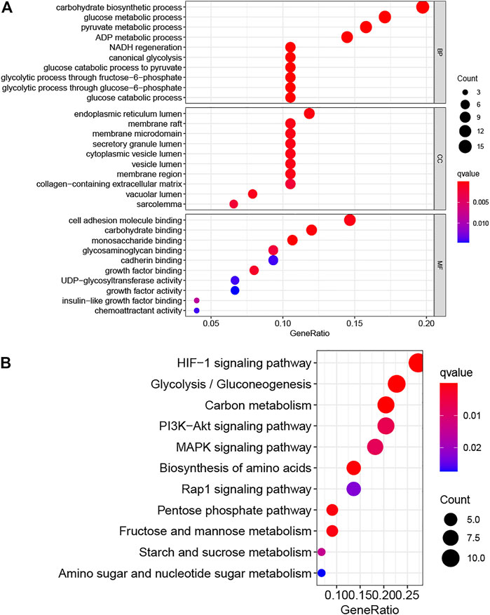 Frontiers Identification And Validation Of Hypoxia Related Lncrna