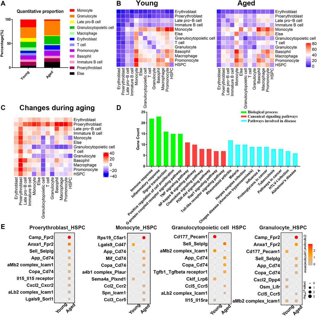 Frontiers Integrated Single Cell Bioinformatics Analysis Reveals