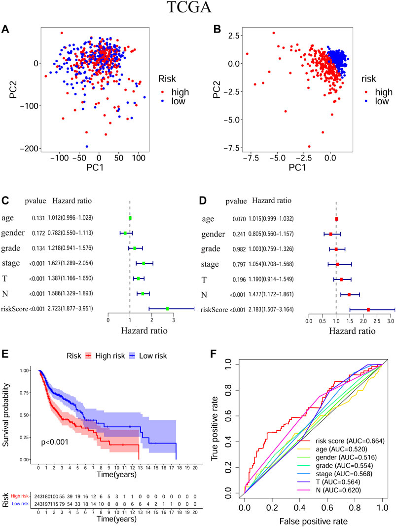 Frontiers A Ferroptosis Related Gene Signature For Predicting The