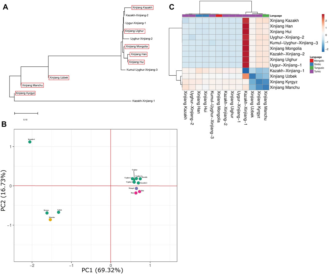 Frontiers | The Heart of Silk Road “Xinjiang,” Its Genetic Portray, and Forensic Parameters ...