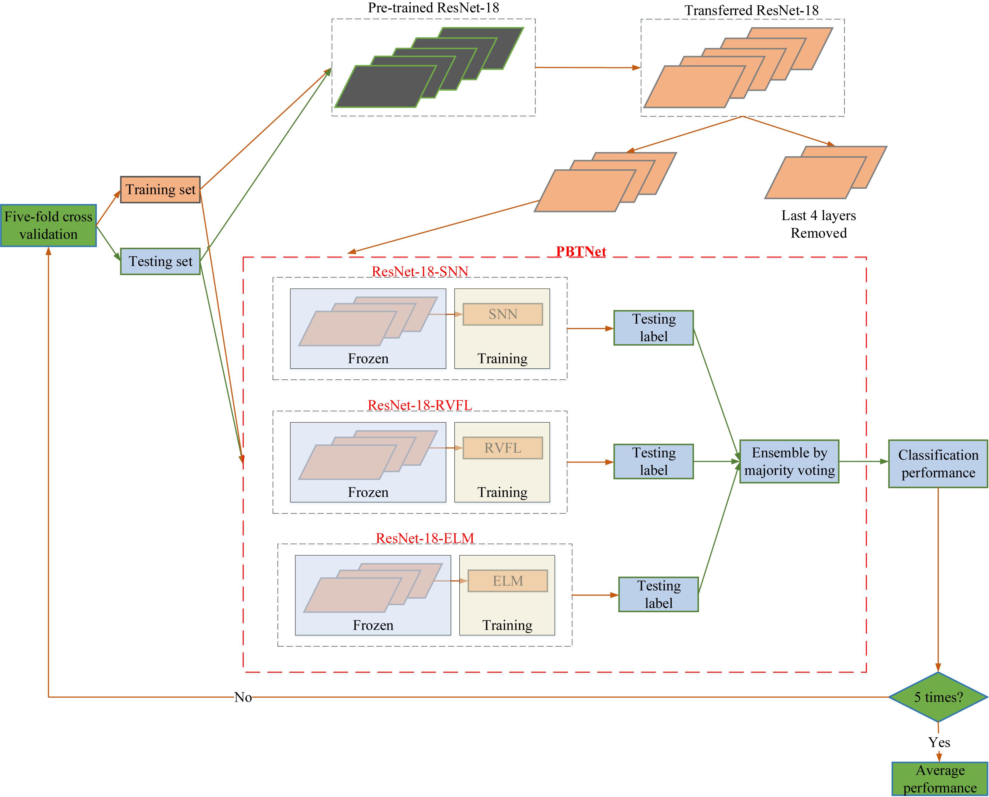 Frontiers | PBTNet: A New Computer-Aided Diagnosis System for Detecting ...
