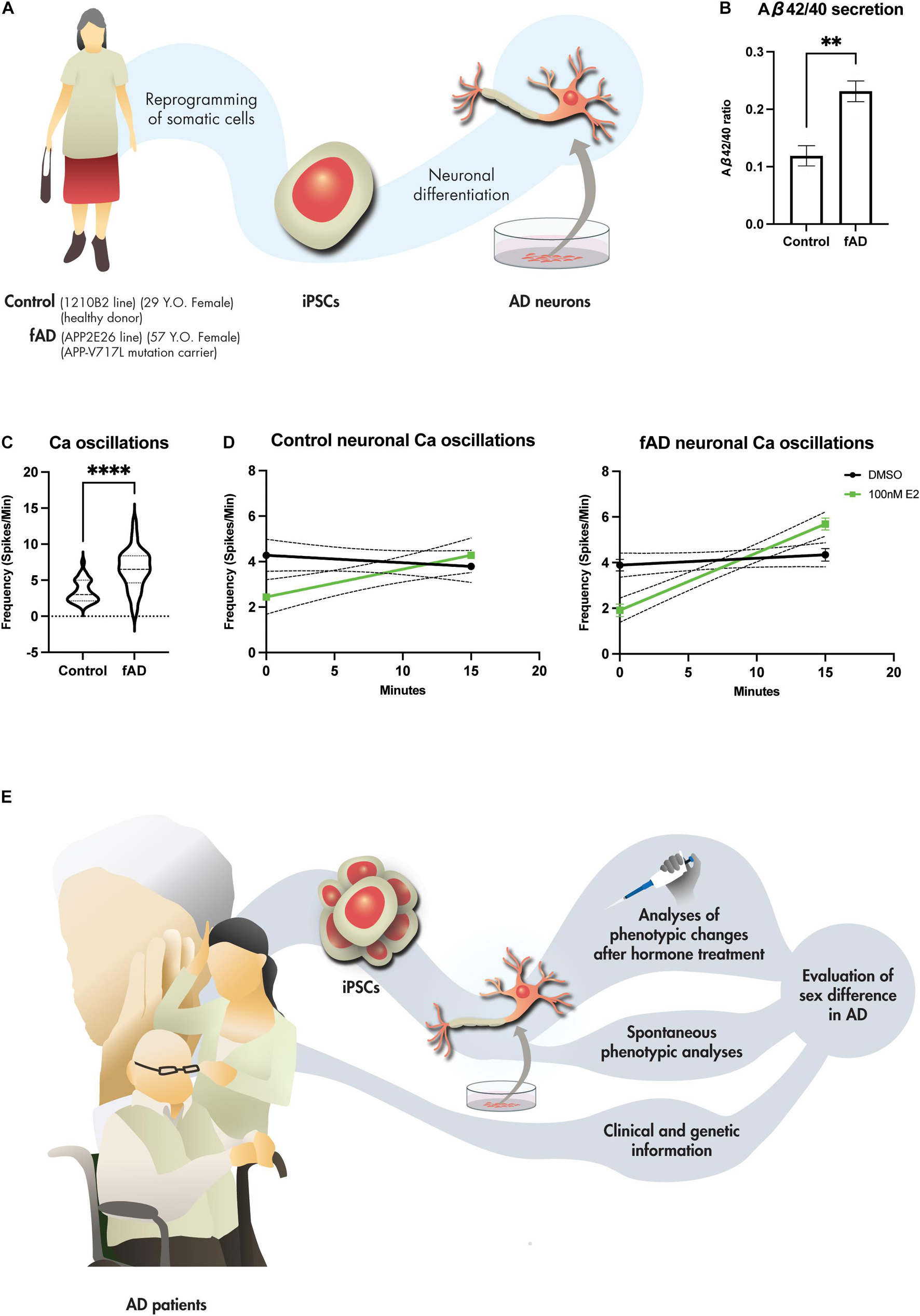 Frontiers Utilization Of Human Induced Pluripotent Stem Cells Derived