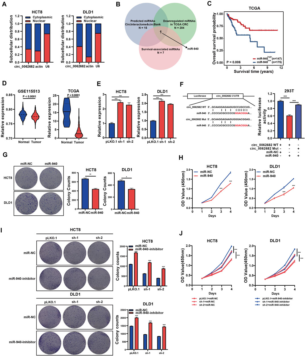 Frontiers Hsa Circ 0062682 Promotes Serine Metabolism And Tumor