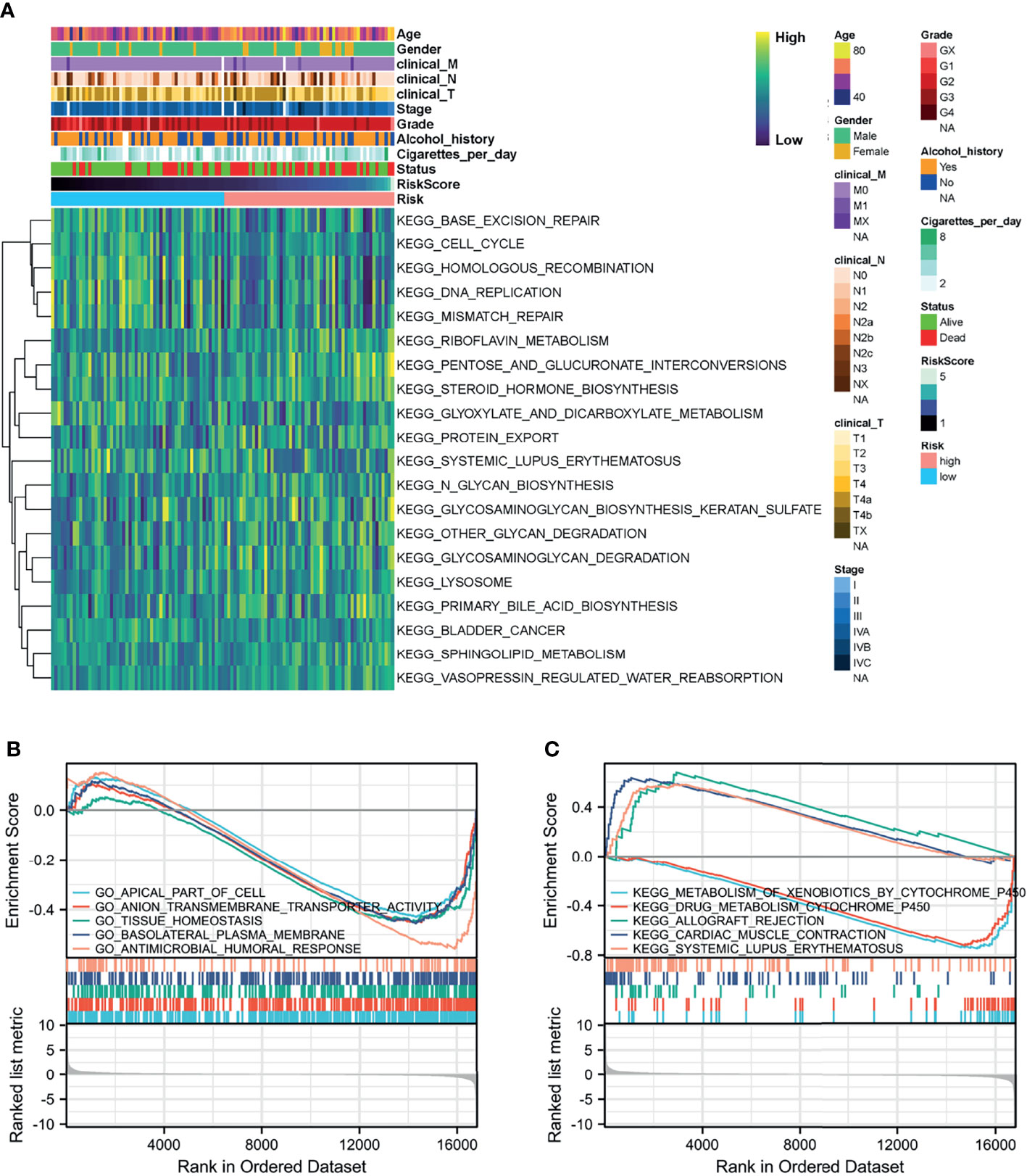Frontiers | Identification of Novel Prognostic Markers Frontiers | Identification of Novel Prognostic Markers